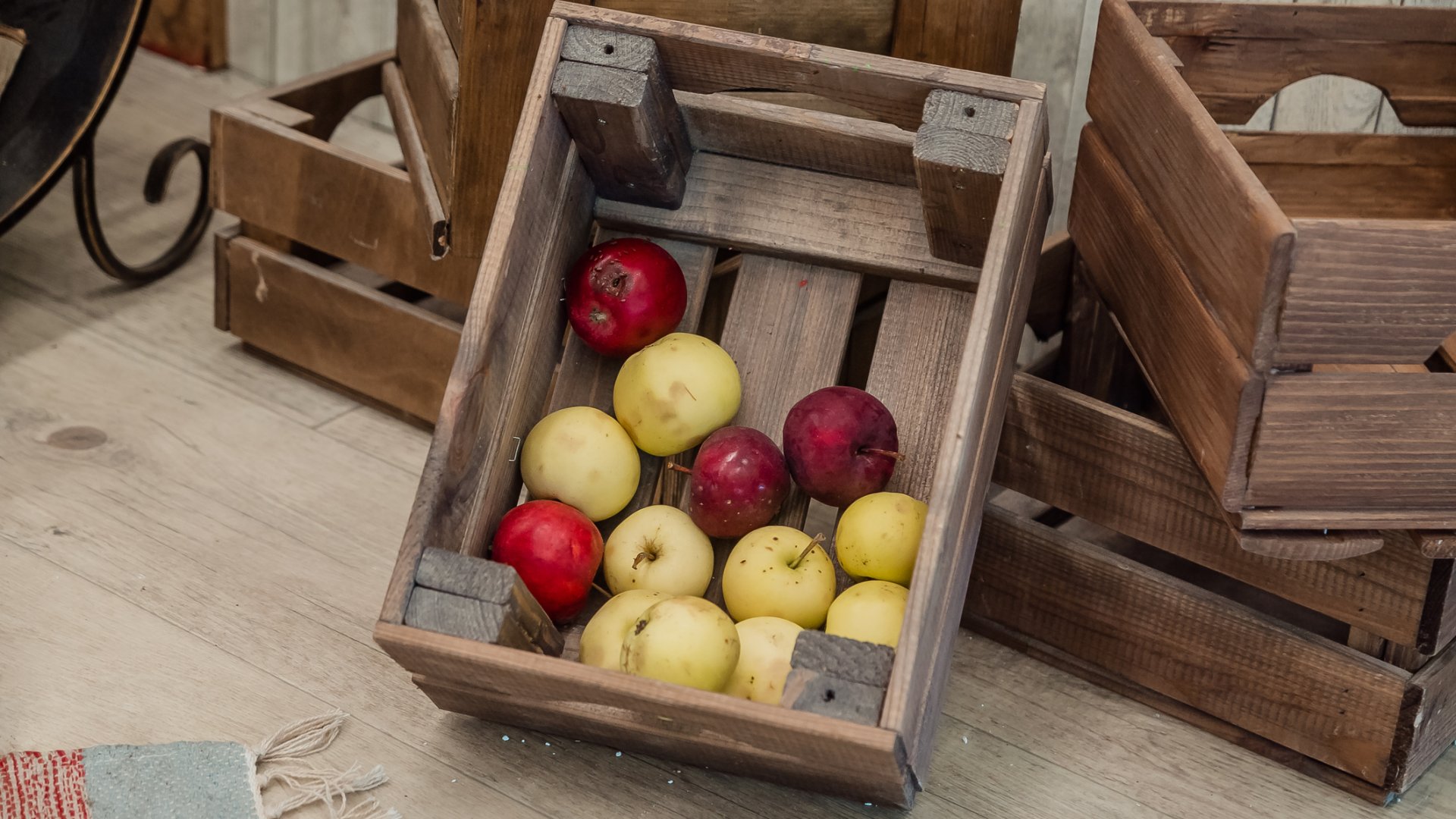 Így tárold el a kerted terményeit őszre – egy kertész tanácsaival
