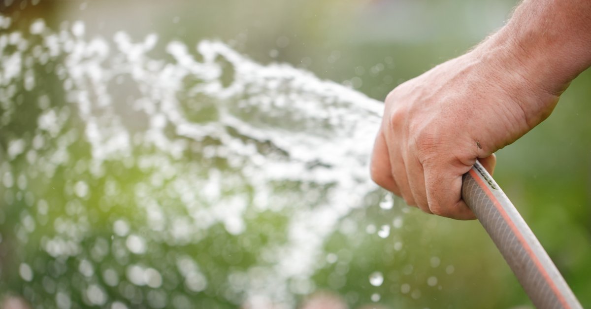 Locsolás – a kánikulában fontos a locsolás, ezekre figyelj öntözéskor