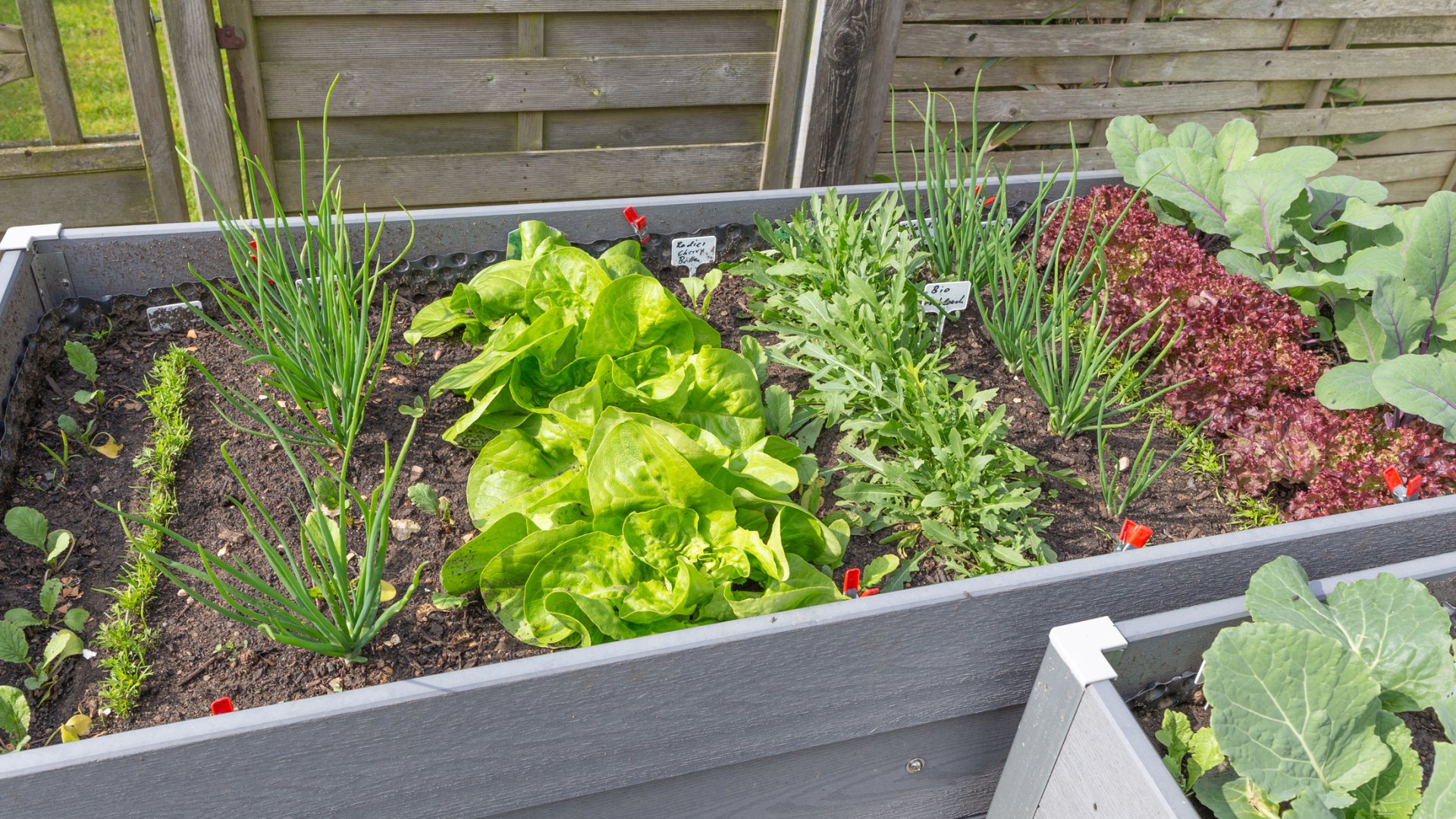 Ezzel a technikával az emelt ágyást könnyen fel lehet tölteni földdel