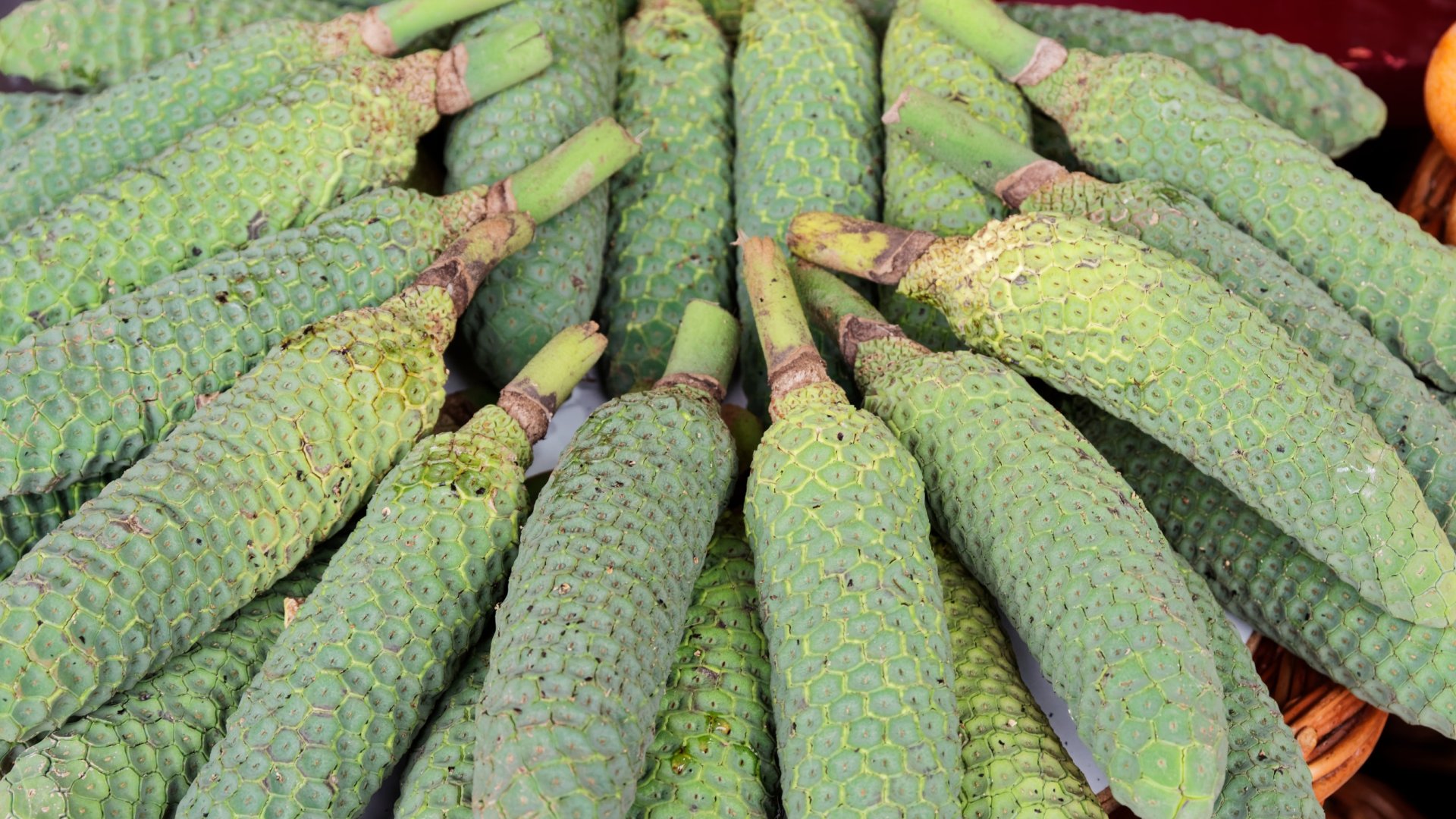 Mit kell tudni a Monstera Deliciosa gyümölcsről, az Ananas Banana-ról