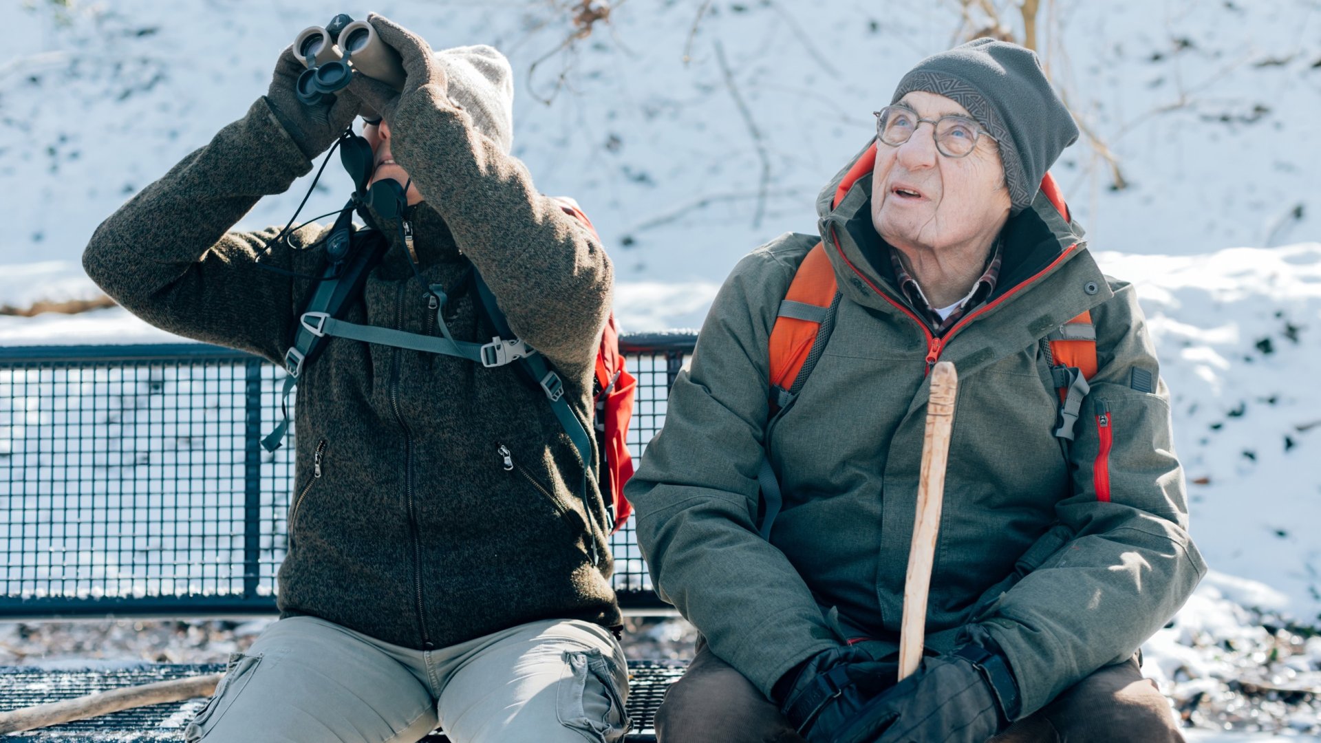 Nagy téli madárles – számoljuk együtt a madarakat!