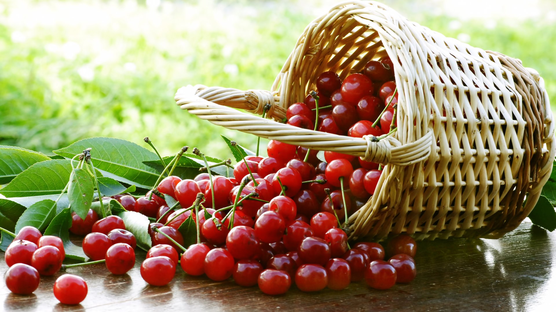 A meggyfa metszésének titkai – Így gondozd a meggyfát, ha sok termést ...